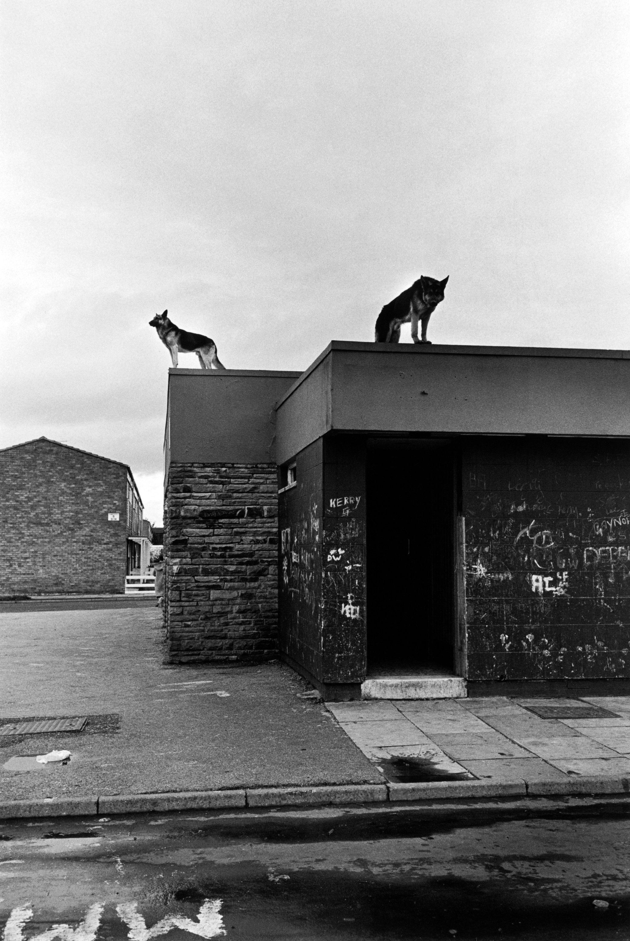 Liverpool: Looking Out to Sea | Peter Marlow Foundation